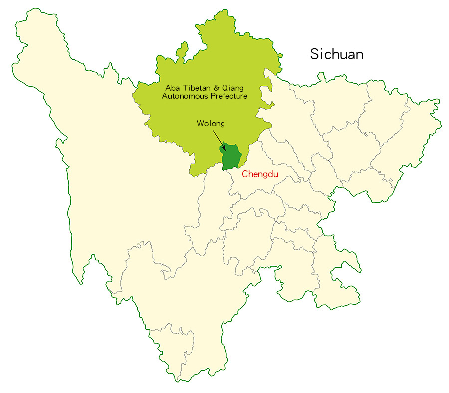 HK for Wolong - Wolong