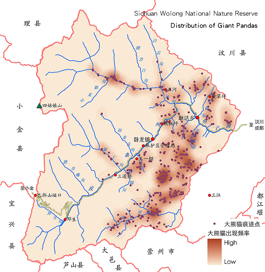 HK for Wolong - Wolong