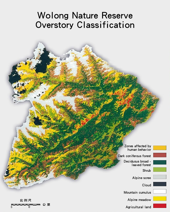 HK for Wolong - Wolong